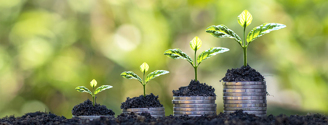 What is CD Laddering? | MO, IL, CA Certificates of Deposit | First Bank